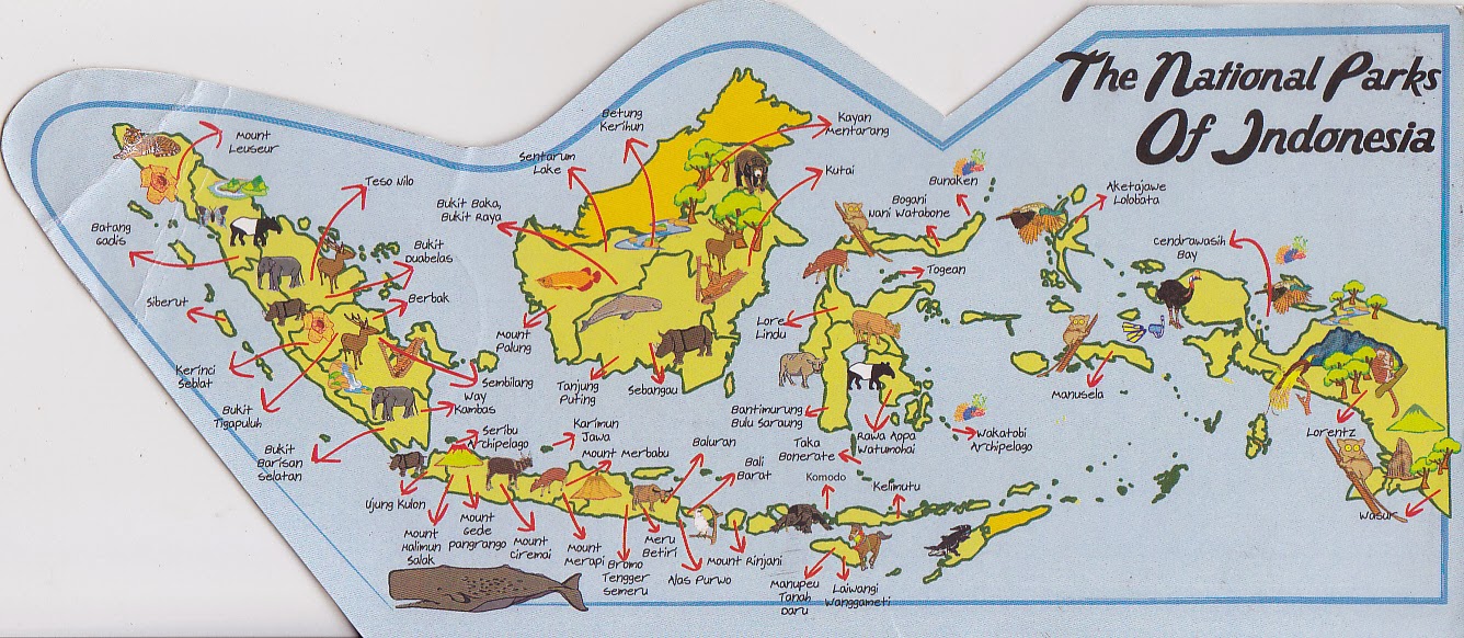 Postcard A La Carte: Indonesia - Map Postcard
