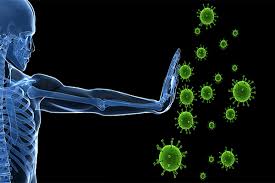 La Célula: Sistema Inmunológico