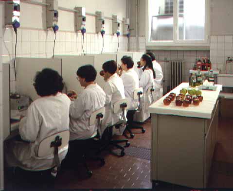 Antonio G. Lauro: Corso idoneità fisiologica all'assaggio di olio ...