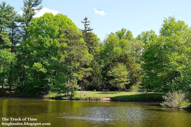 Flowers at Elizabeth Park | The Track of Time