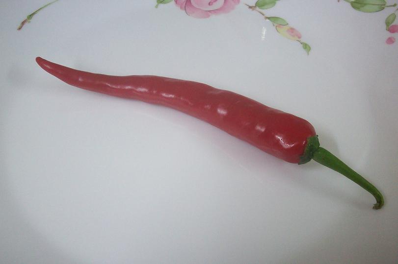 Semua Menjadi: Cili nan Sebiji