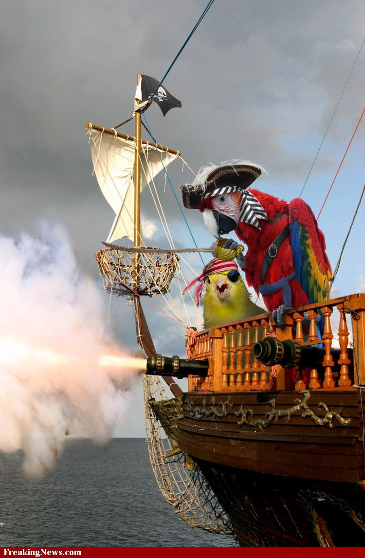 inkspired musings: Ahoy! me matey...