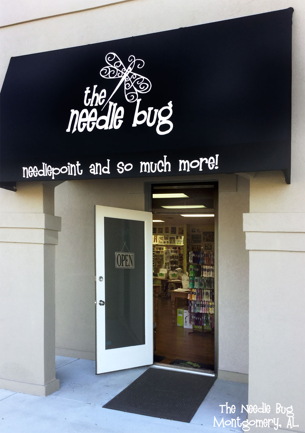 Needlepoint Study Hall: Robin teaches at The Needle Bug - November 2017