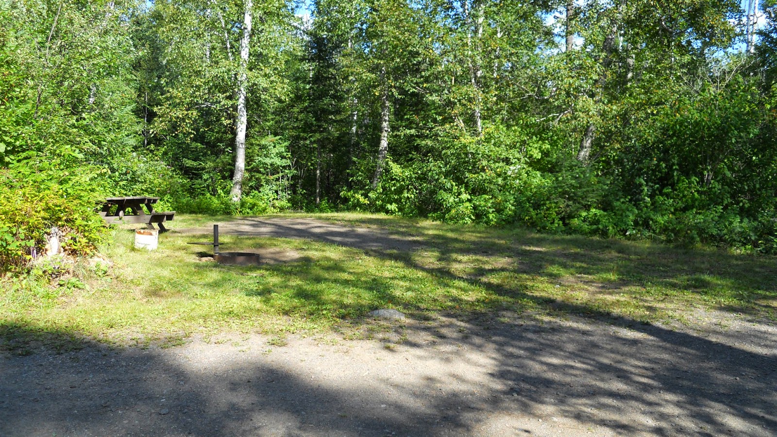 National Forest Camper: Section 29 Lake Campground