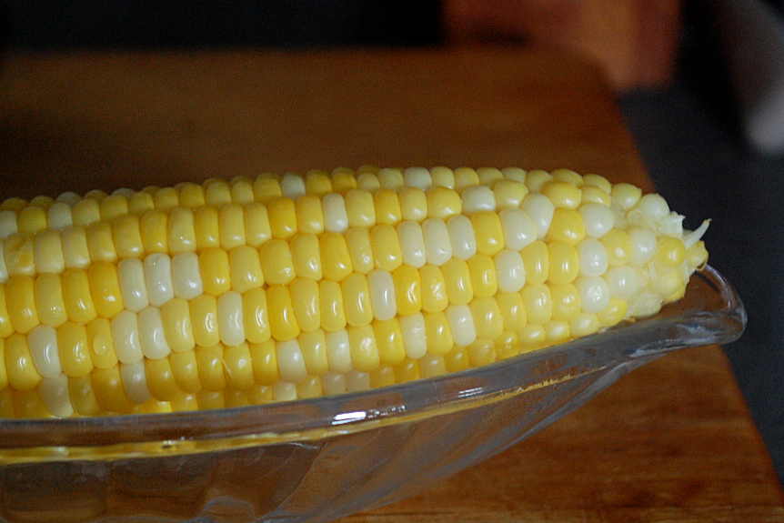 Living the Dream: Corn - 2019