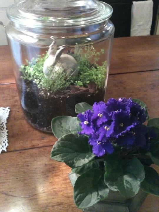 flower classroom: Terrarium & Kokedama Class