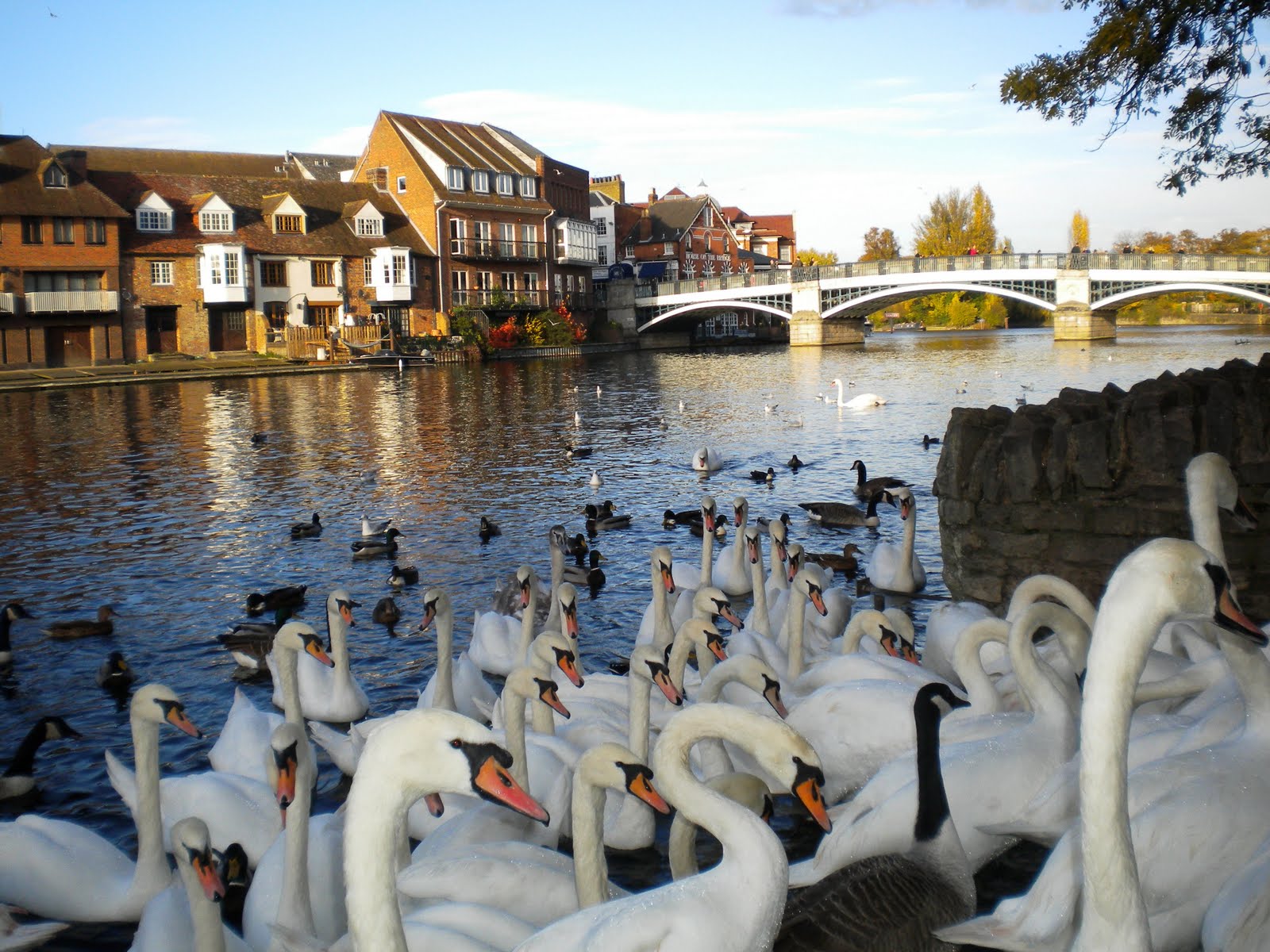 Traveler Guide: Windsor, England