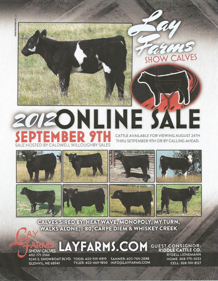 Trausch Farms: Lay Farms ~ Nebraska