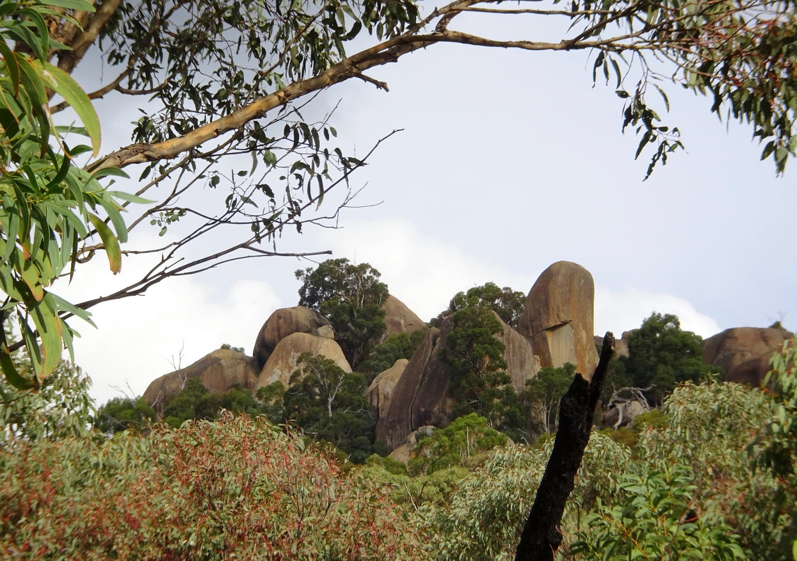 Dalby Mikkelsen: Canberra 13 - Tidbinbilla, Gibraltar Rocks