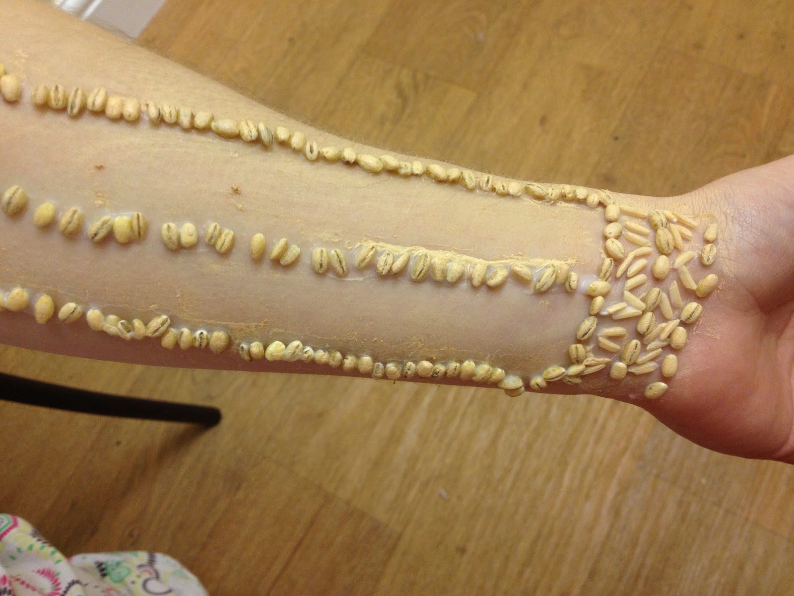 Georgina Walsh Wild Kingdom : Developing Scarification