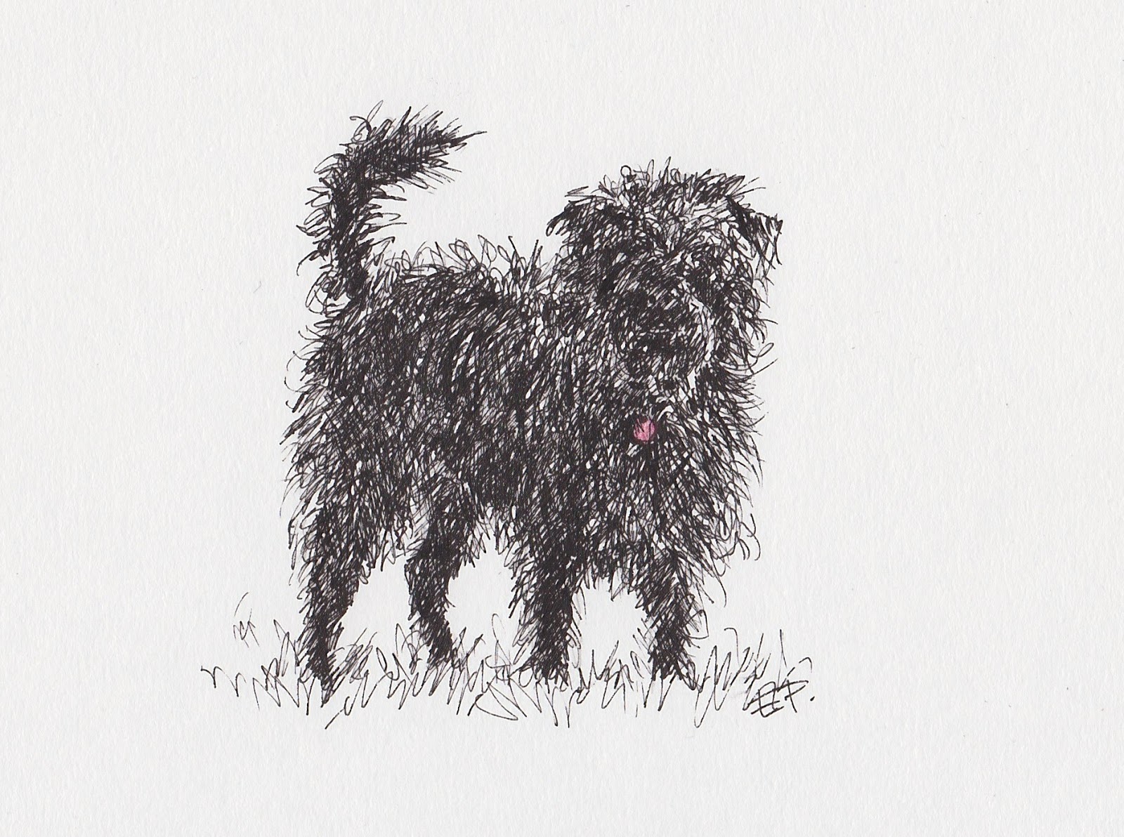 Dartmoor Ramblings: PENS FOR CHRISTMAS SO A DRAWING OF SNIPPET