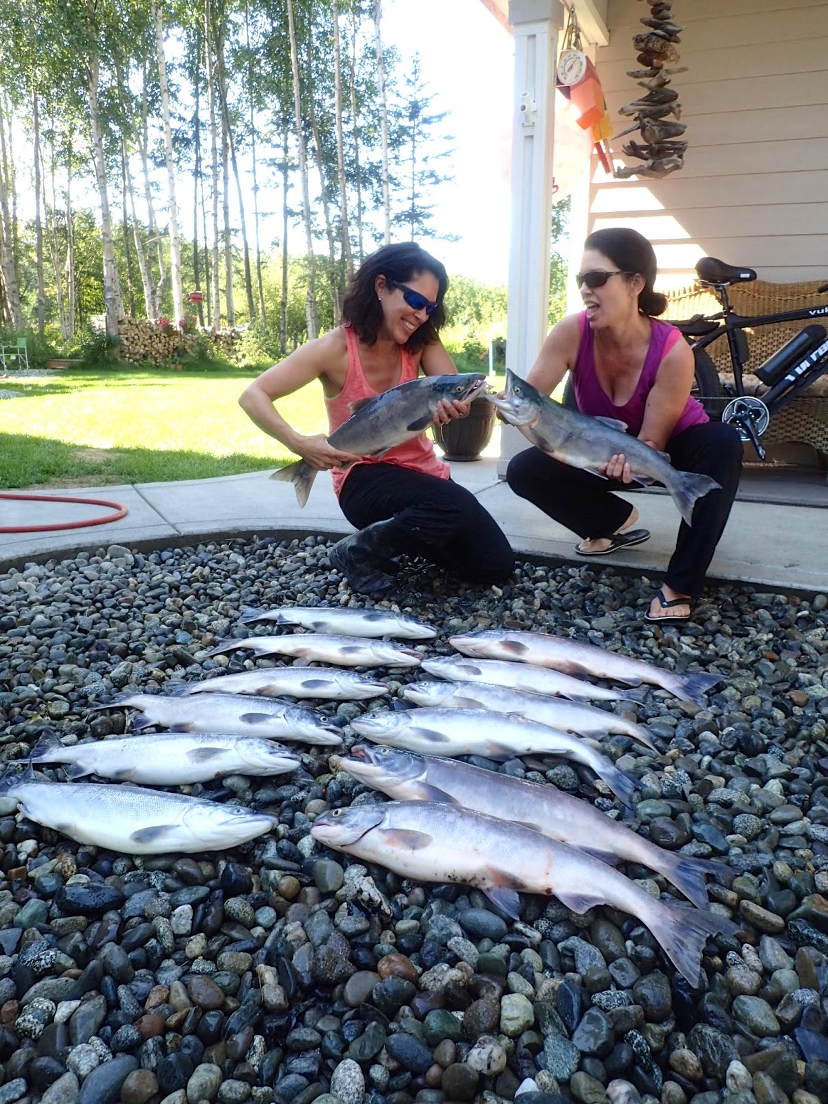 The Baked Alaska Project: recipe index