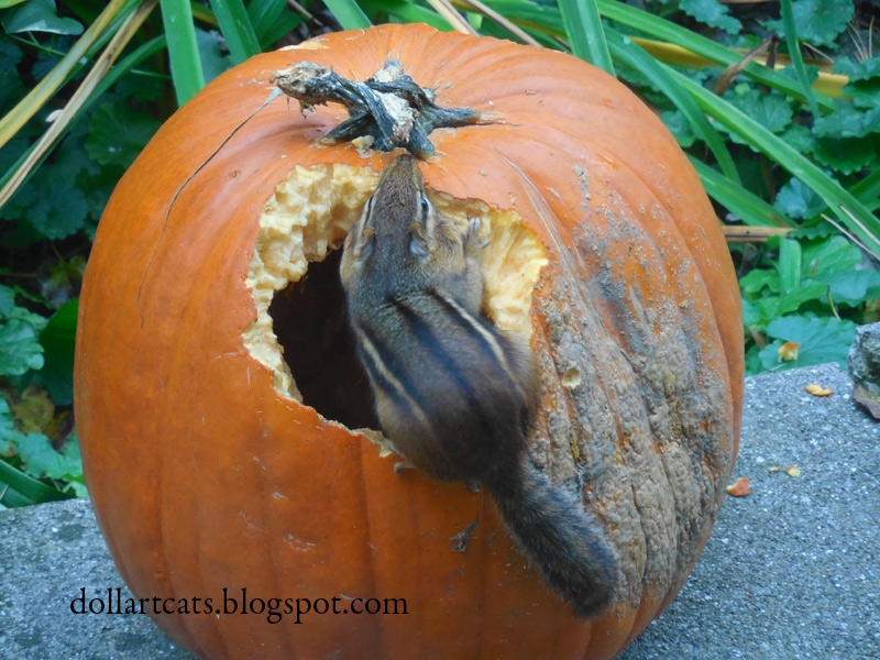 Chipmunks Carve me a Pumpkin