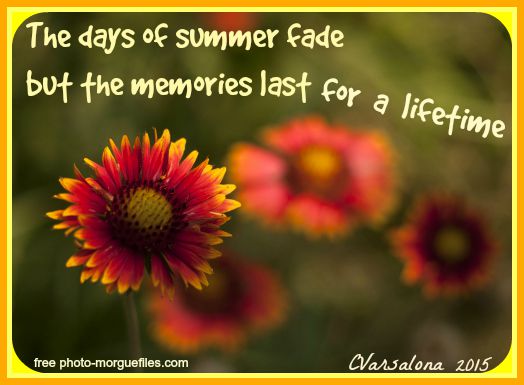 Beyond LiteracyLink: Celebrating Endless Summer