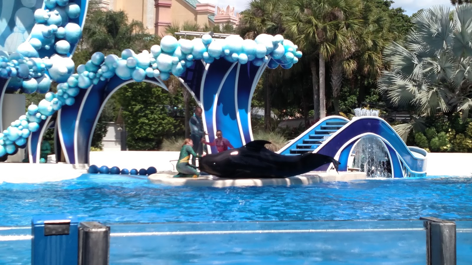 Florida: SeaWorld Orlando Blue Horizons Show ~ Well Worn Suitcase