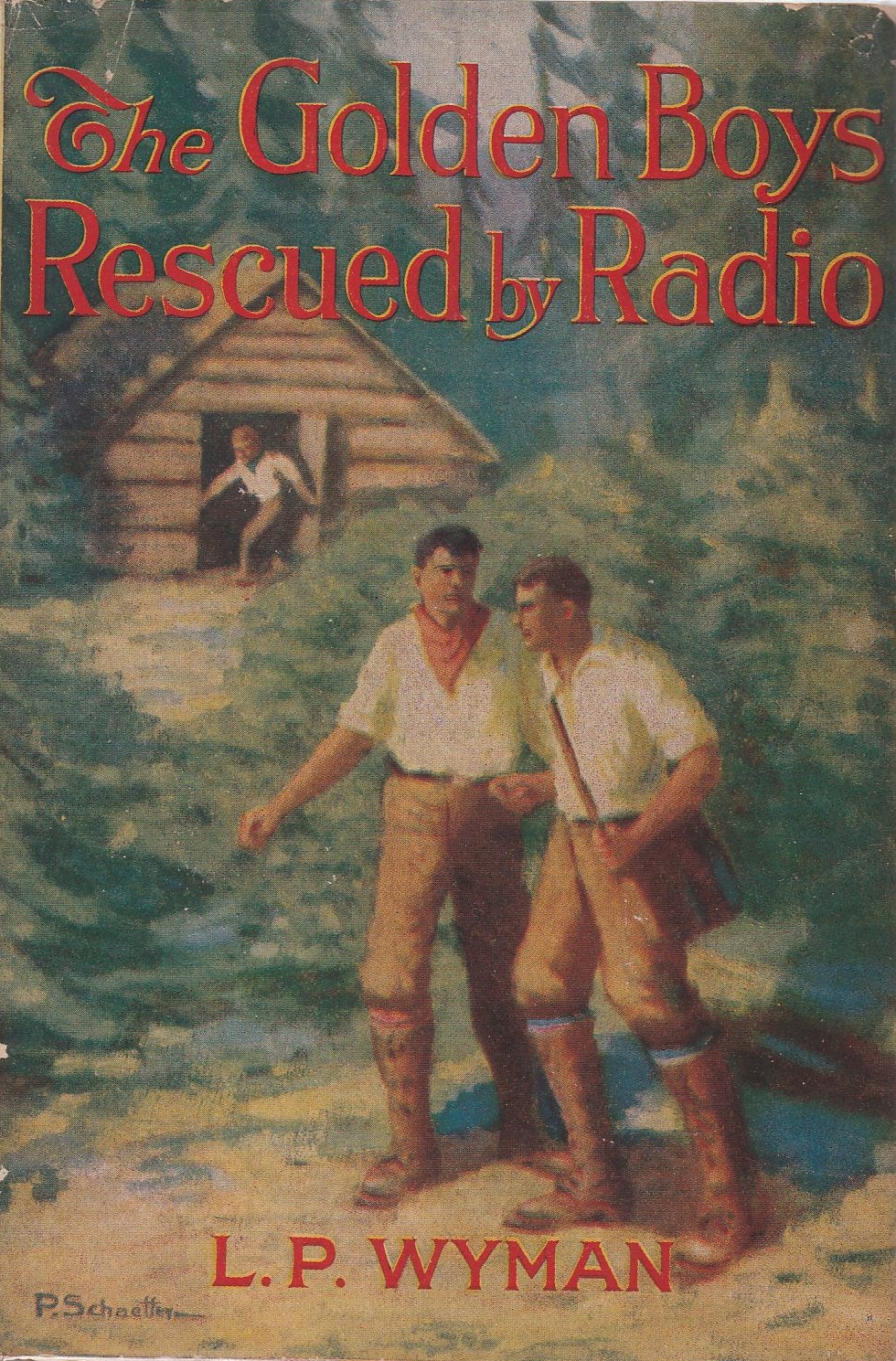 Series Books for Girls: Golden Boys #5 River Drive and #6 Rescued by Radio