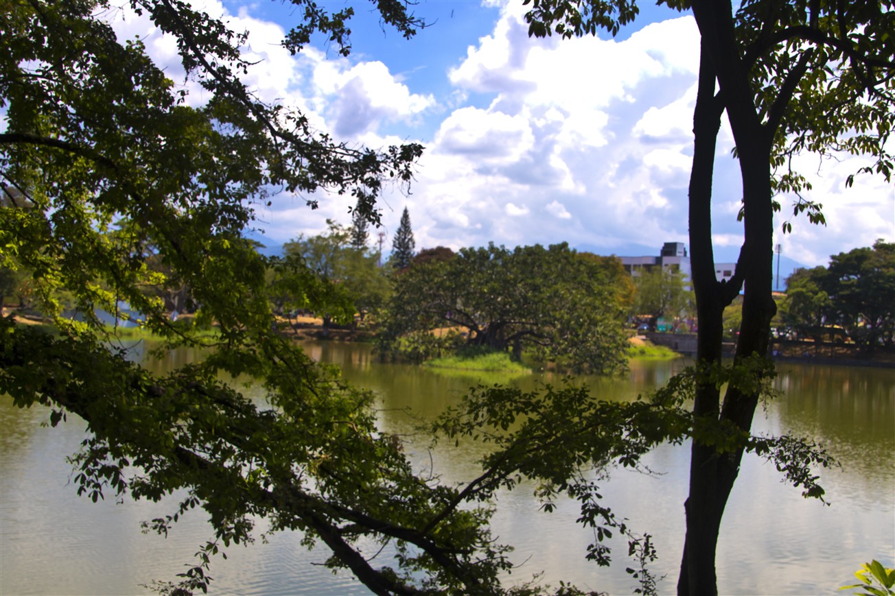 Souvenir Photo Studio, by Al Bourassa: Sunday Jan 27, 2019 Lago Chilicote