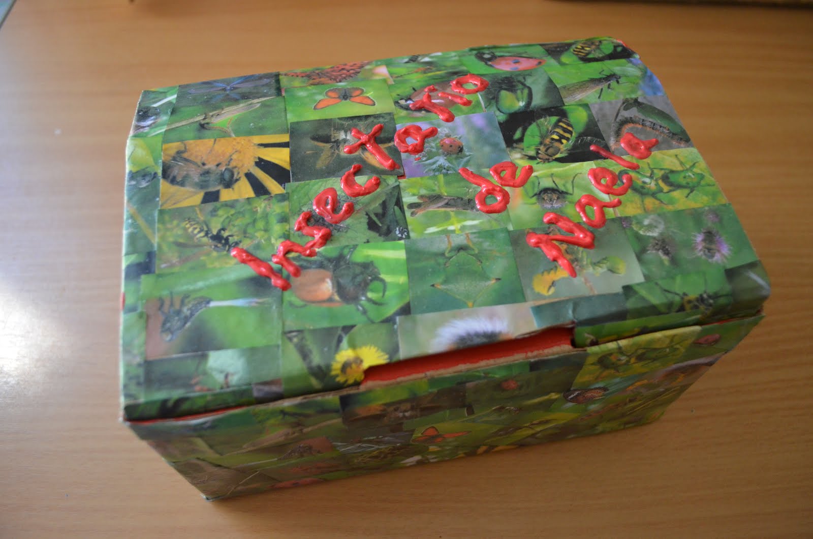 creando ando en mi mundo: Mi insectario