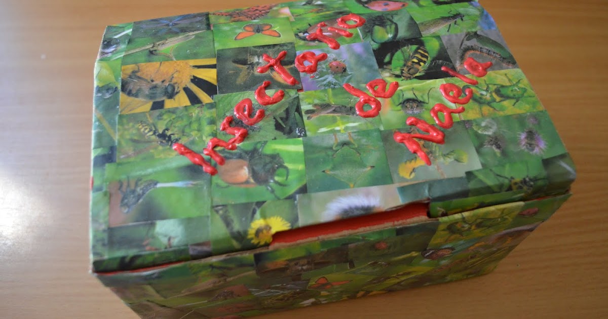 creando ando en mi mundo: Mi insectario