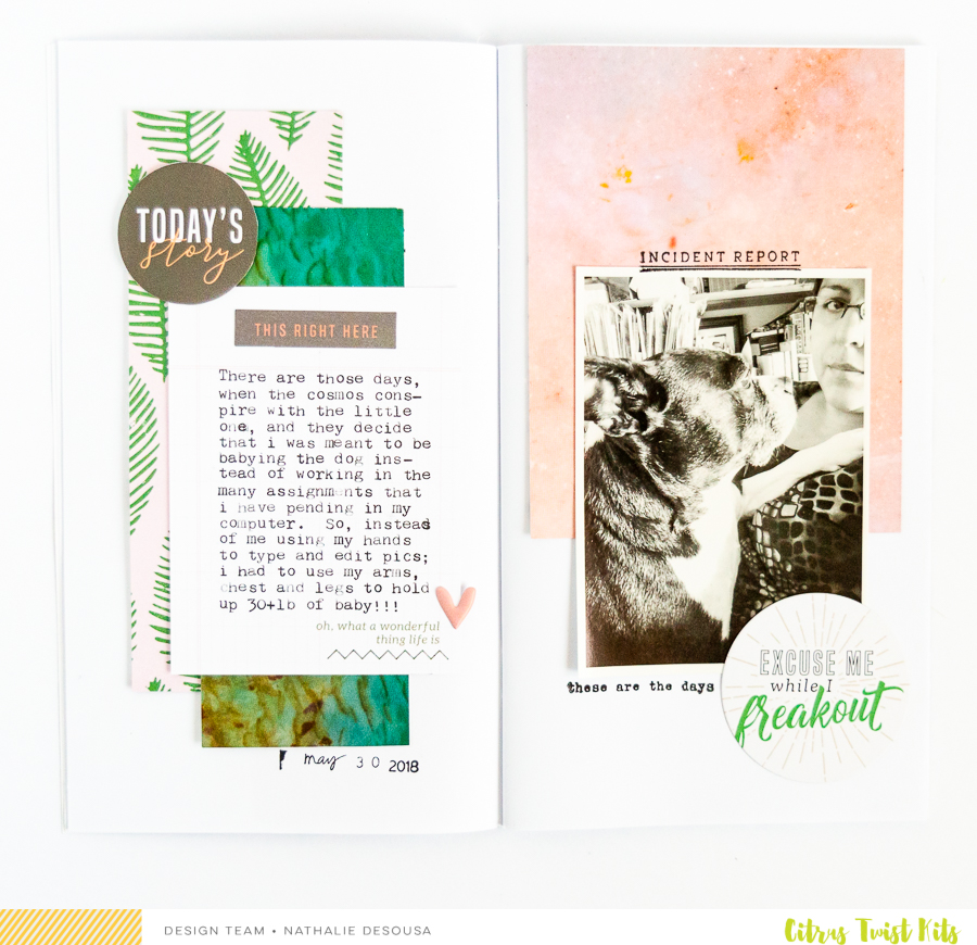 Living an Inspired Life: My Personal Journal - Week 22