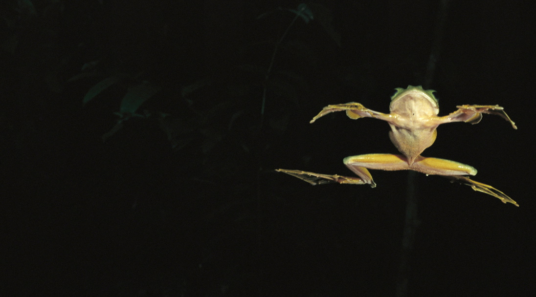 Flight To Success: Monday Motivation: Do it now.