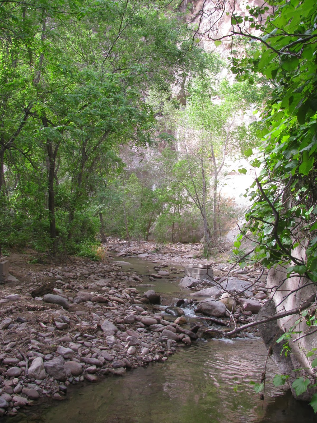 Backyard Excursions: Return to Nature: The Catwalk National Recreation ...