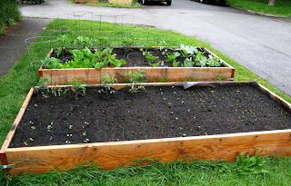 Growing Edibles in Vancouver, British Columbia: Vegetables in the Front ...