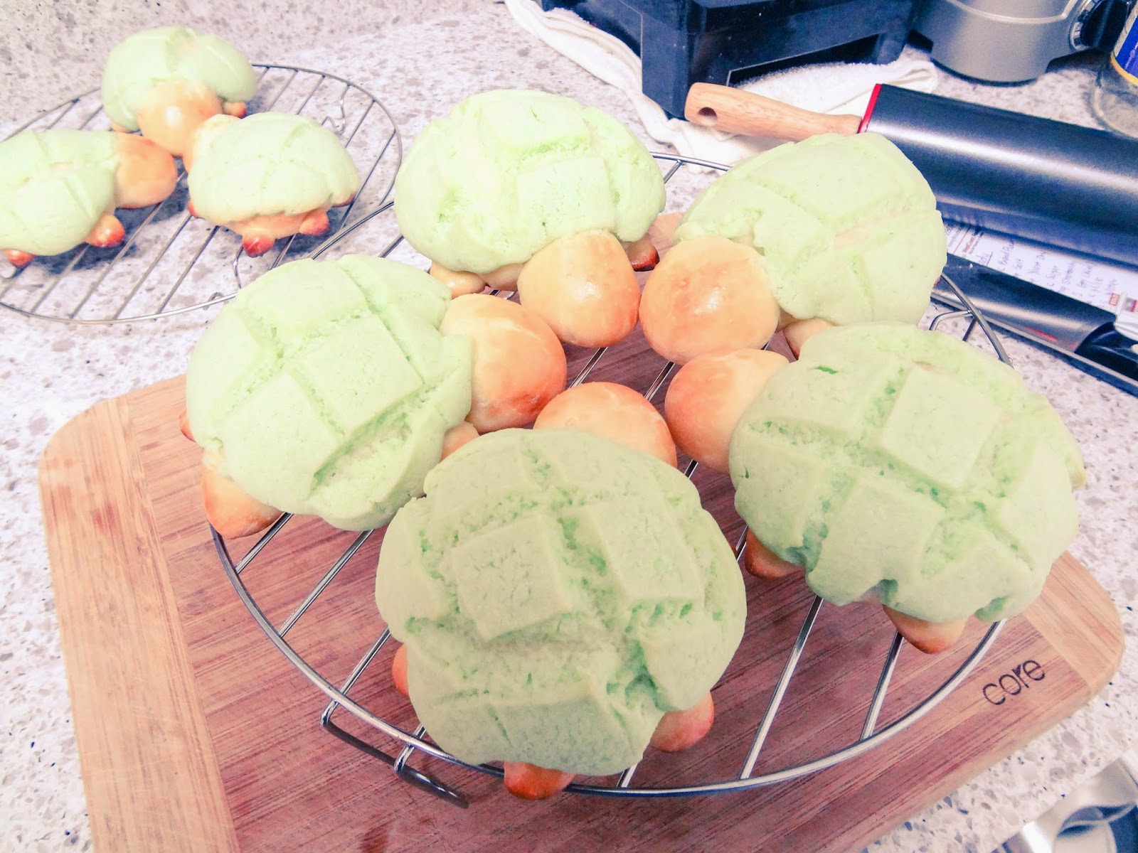rinrinwonderland: Turtle-Shaped Melon Bread