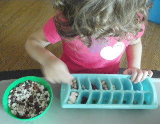 Little Stars Learning: Seeds! Seeds! Seeds! Book Activity #1 Seed Sorting