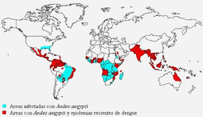 Los virus mas mortales del mundo !! la 3º casi mata a la humanidad ...