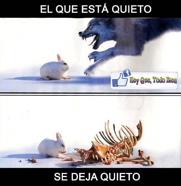 IMÁGENES DE HUMOR, GRACIOSAS, CHISTOSAS, DIVERTIDAS, SEXYS...: El que ...