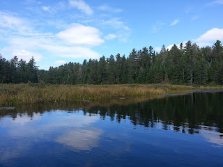 WayfaringKarlie: Canoe Trip to Ham Lake