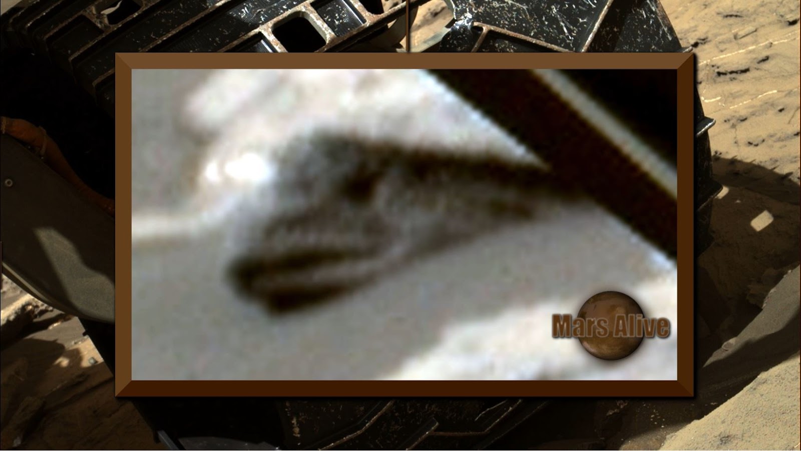 Reptile or Fish on Mars! | Space | Before It's News