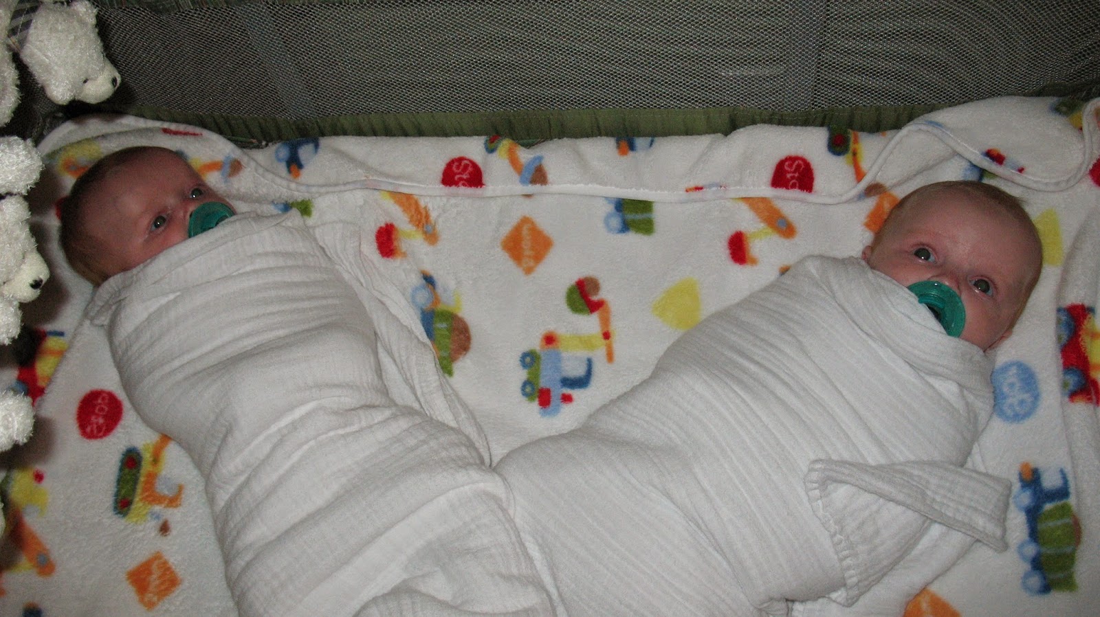 The Cunningham Family: More On Identical Twins