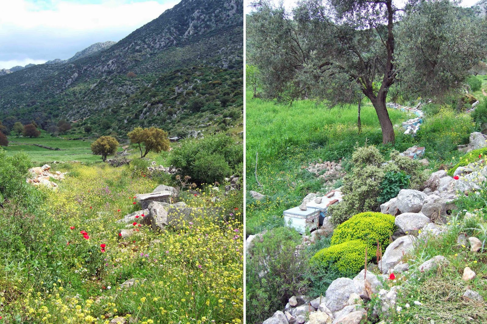 Exploring the World in 'Blue Velvet of Sark': Serçe Limani