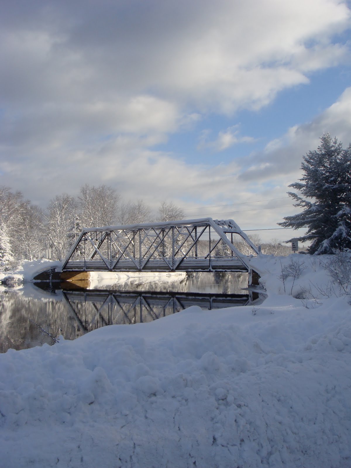 Cold Lake Cathy: Growling at graffiti