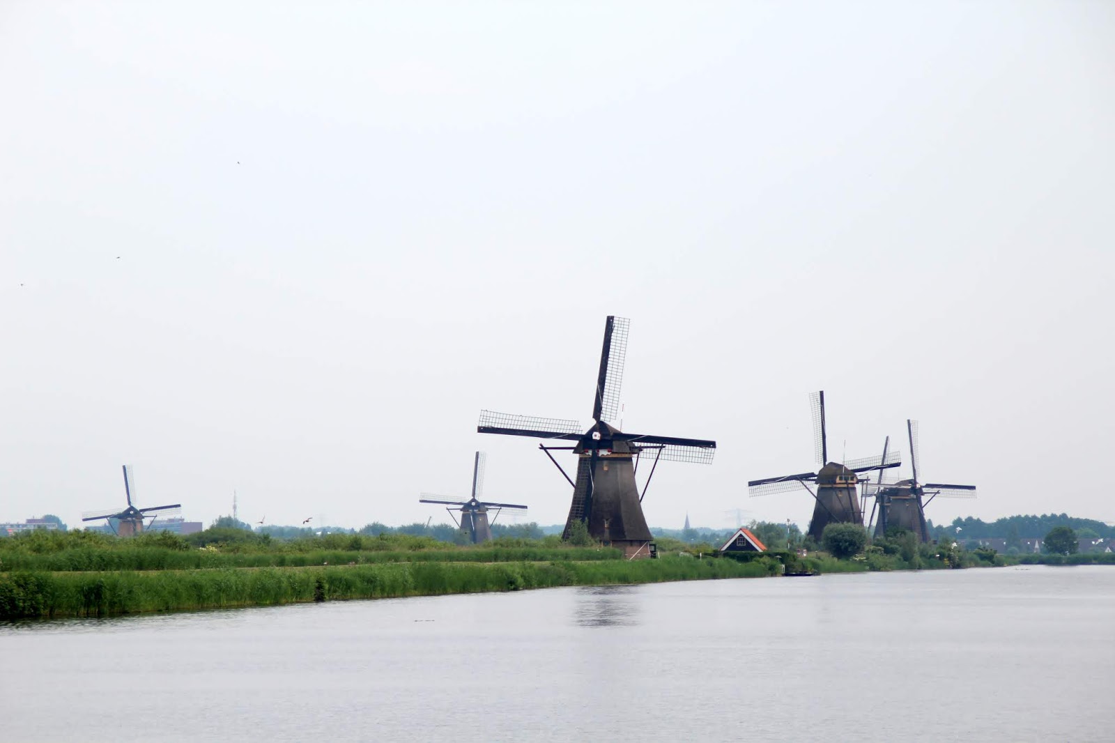 Renaissance: A Dutch Girl Goes to Holland: The Windmills of Kinderdijk