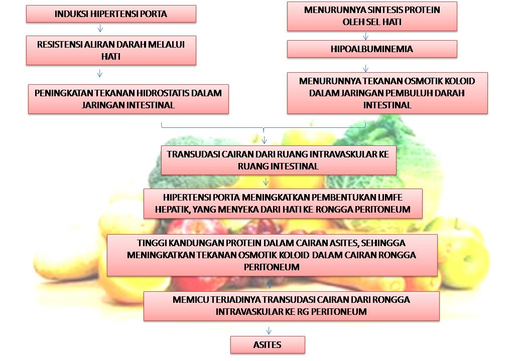 ASKEP ASITES DAN PARASENTESIS ABDOMEN (PUNGSI ASITES) | DUNIA KEPERAWATAN