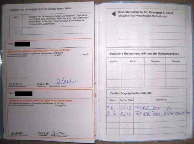 Berlinstadtbaby: Mutterpass