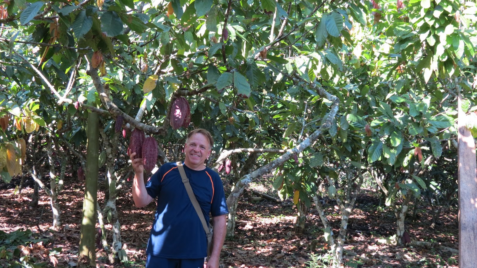 Uniterra - Leave For Change - Peru: Saposoa - Warmitech - Cocoa Plantation