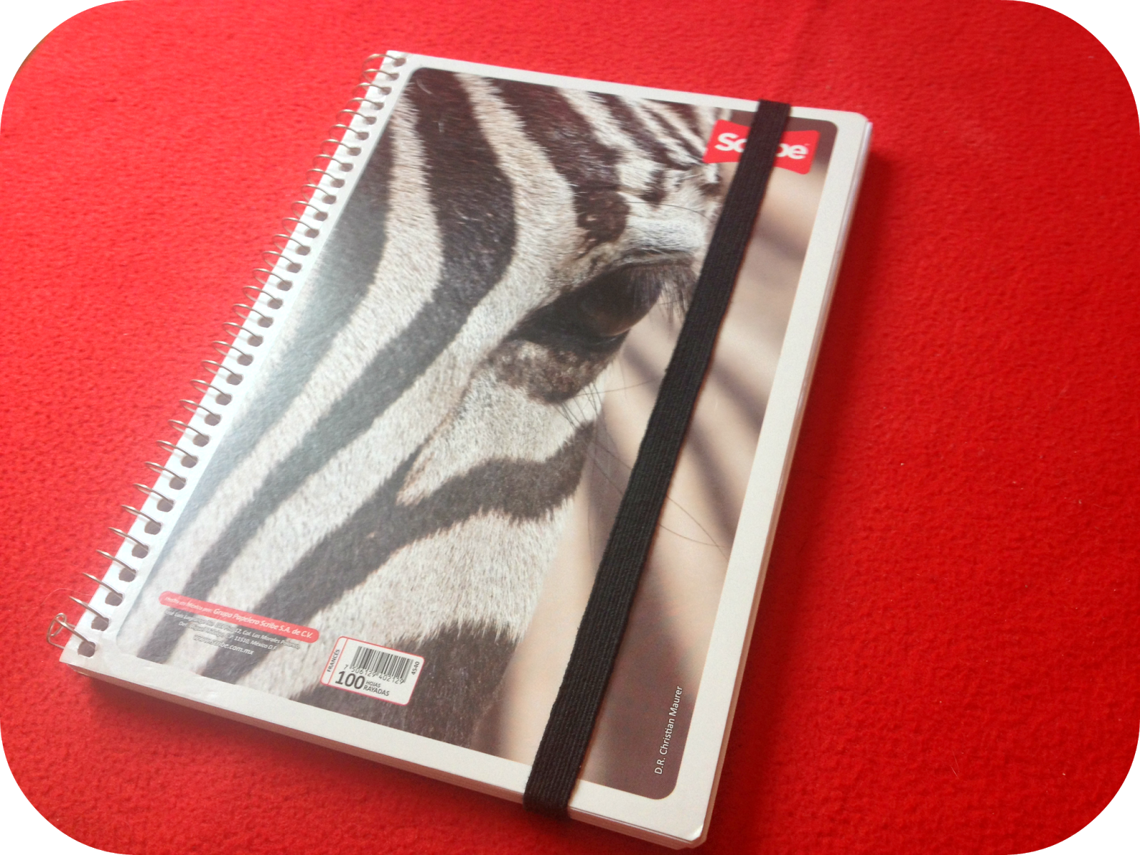 Soy un Annie: Notebook inspired by Candy Candy~ | Back to School.