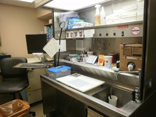 The Making of a Pathologists' Assistant: A Trip to the Pathology ...