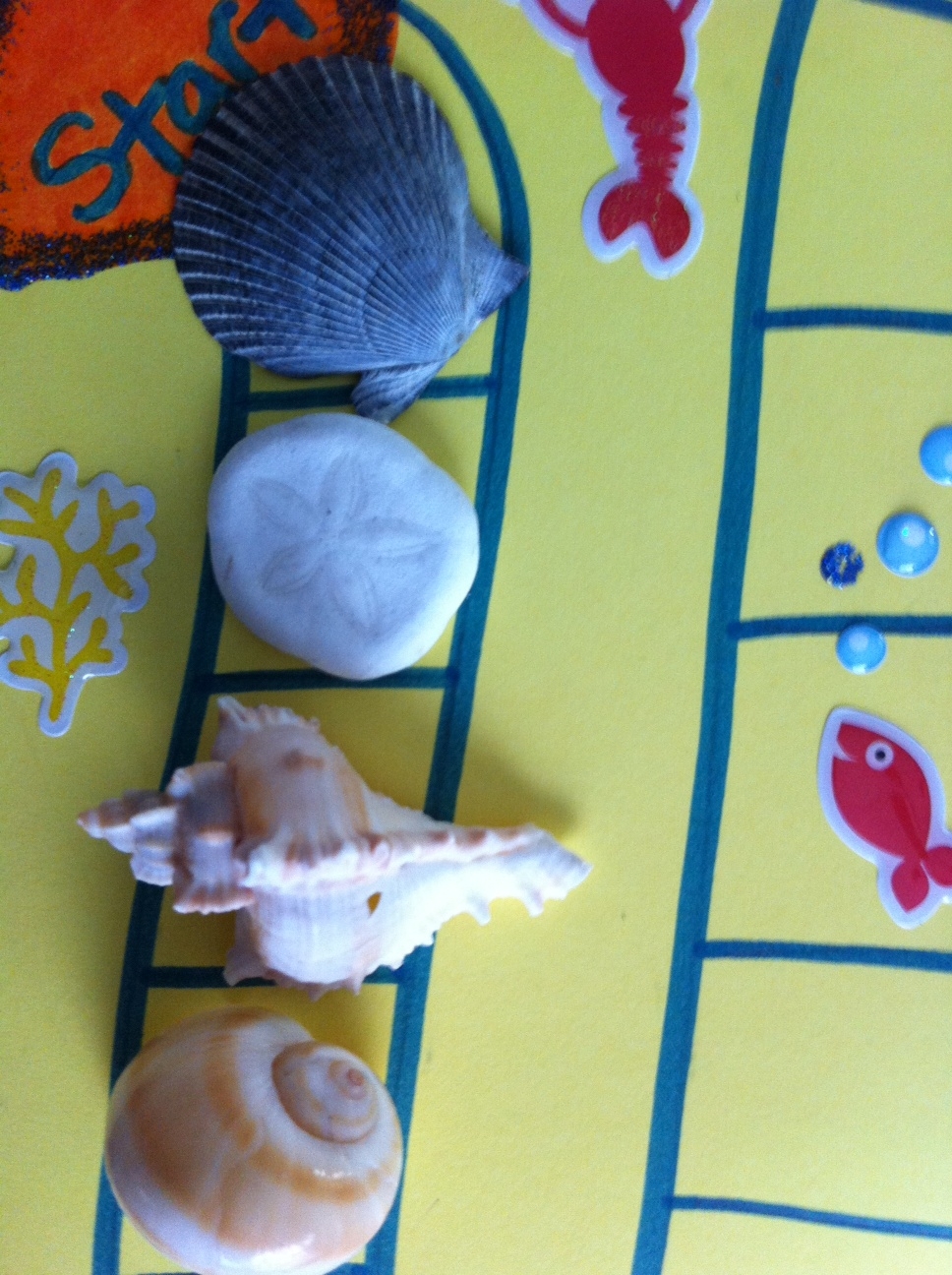Say Hello: Sea Shell Board Game