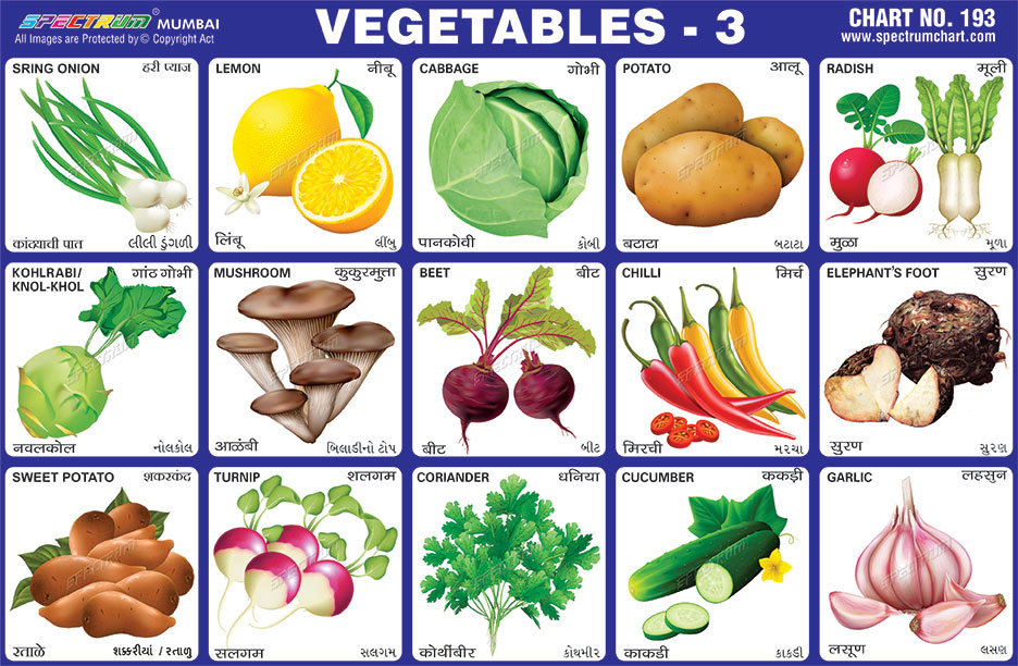 Root Vegetables Chart
