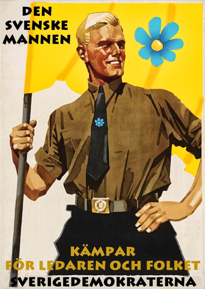 Slutpixlat: Sverigedemokraterna ägnar sig åt kulturrasism!