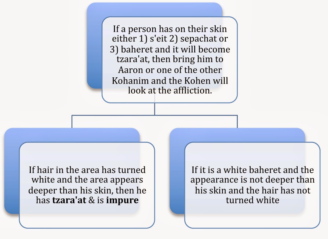Parsha Math: Tazria- Conditional Statements and Flow Charts