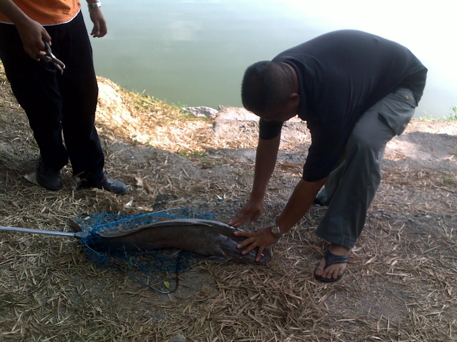 Guerilla Fishan: Anak Angkat dari Afrika @ Fish Valley Semenyih
