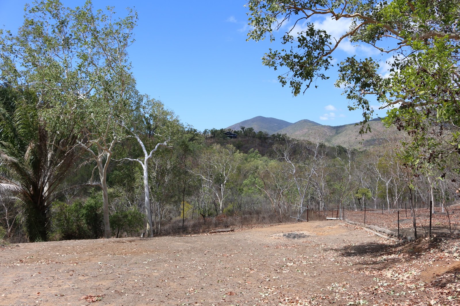 My Dry Tropics Garden: The Harsh End Of The 2015 Dry Season ... My Dry ...
