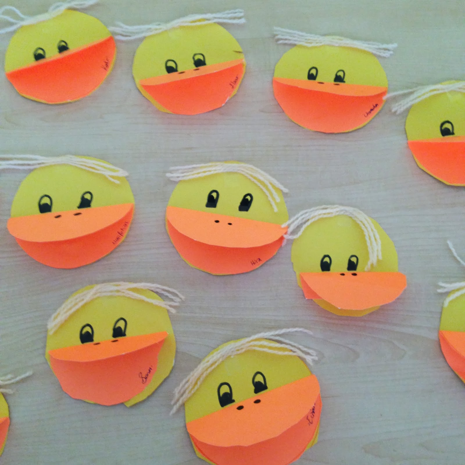 CAFE TİGRİS: Bak bir küçük ördek