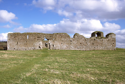 Historic Sites of Ireland: Ballymoon Castle